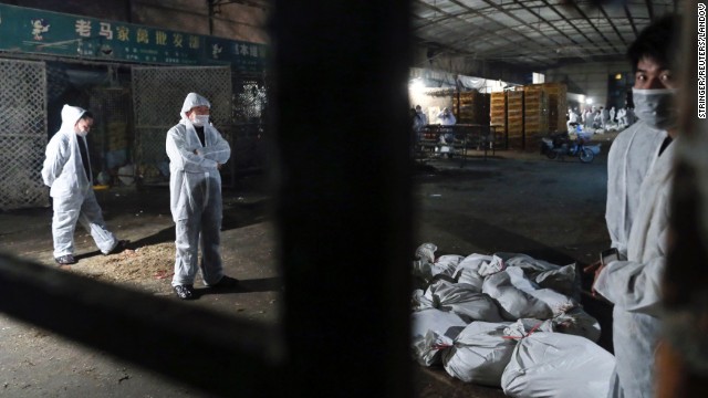 Health Workers Gather Dead Chickens At The Huhai Poultry Wholesale